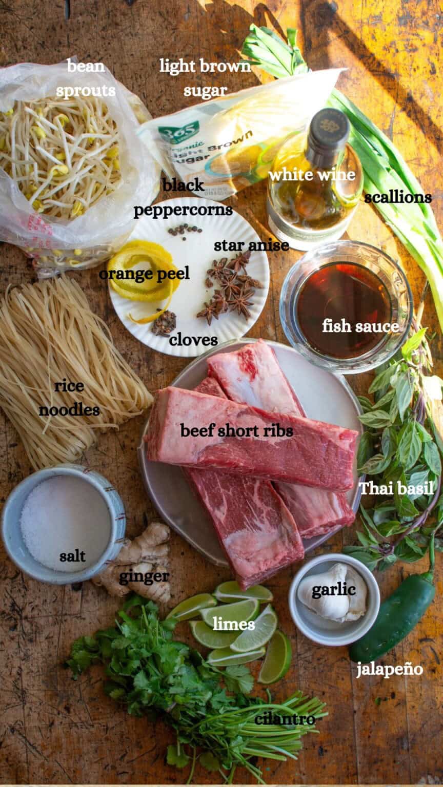 Easy Faux Short Rib Pho {Vietnamese Pho Bo Recipe} - katesbestrecipes.com